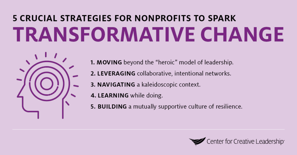 Leadership Strategies for the Social Sector | CCL